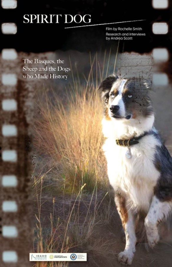 Spirit Dog : The Basques, the Sheep, and the Dogs Who Made History ...